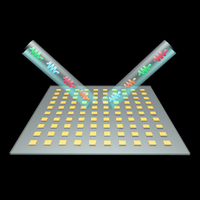 Realization of a Programmable Multipurpose Photonic Quantum Memory with ...