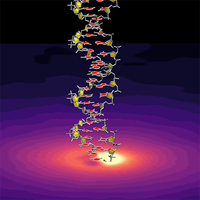 Physical Review X - Browse by Subject