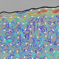 Robust Edge Flows in Swarming Bacterial Colonies | Phys. Rev. X