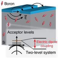 Acceptor-Induced Bulk Dielectric Loss in Superconducting Circuits on ...
