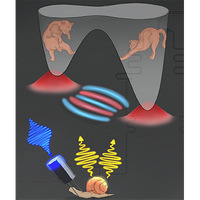 High-Coherence Kerr-Cat Qubit in 2D Architecture | Phys. Rev. X