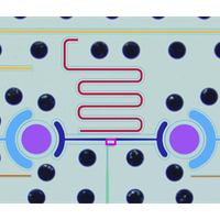Realization of High-Fidelity CZ Gate Based on a Double-Transmon Coupler ...