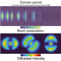 Assessing the Ubiquity of Bloch Domain Walls in Ferroelectric Lead ...