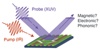 Phys. Rev. X 2, 011005 (2012) - Ultrafast Demagnetization Measurements ...