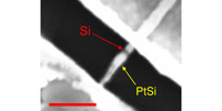 PtSi Clustering in Silicon Probed by Transport Spectroscopy | Phys. Rev. X