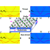 Topological Phases in the Single-Layer FeSe | Phys. Rev. X
