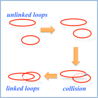 Vortex-Line Condensation in Three Dimensions: A Physical Mechanism for ...