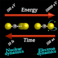 Electron Dynamics in the Core-Excited Molecule Revealed through ...