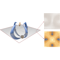 Physical Review X - Volume 6 Issue 1