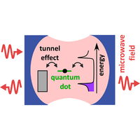 Phys. Rev. X 6, 021014 (2016) - Cavity Photons as a Probe for Charge ...