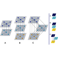 Disease Localization in Multilayer Networks | Phys. Rev. X