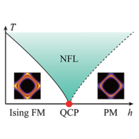Non-Fermi Liquid at () Ferromagnetic Quantum Critical Point | Phys. Rev. X
