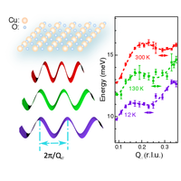 Incommensurate Phonon Anomaly and the Nature of Charge Density Waves in ...