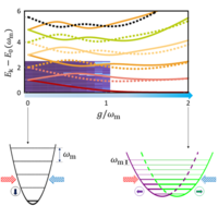 Quantum Simulation of the Quantum Rabi Model in a Trapped Ion | Phys ...