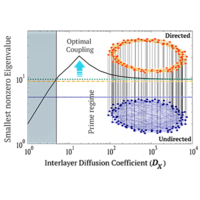 Diffusion Dynamics and Optimal Coupling in Multiplex Networks with Directed Layers | Phys. Rev. X