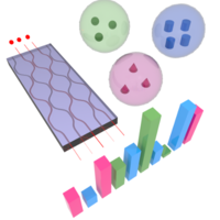 Pattern Recognition Techniques for Boson Sampling Validation | Phys. Rev. X