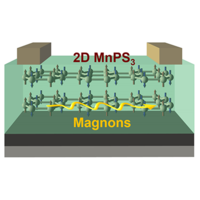 Magnon Transport in Quasi-Two-Dimensional van der Waals ...