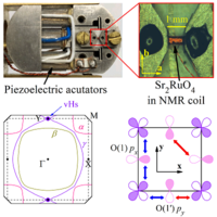 Physical Review X - Volume 9 Issue 2
