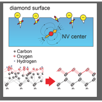 Origins of Diamond Surface Noise Probed by Correlating Single-Spin ...