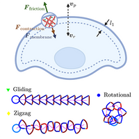 PRX Life - Recent Articles