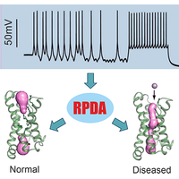 PRX Life - Volume 2 Issue 2