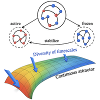 Emergence of Robust Memory Manifolds | PRX Life