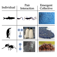 Where Physics Meets Behavior in Animal Groups | PRX Life
