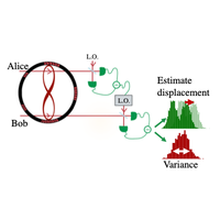 Homodyne Detection of Non-Gaussian Quantum Steering | PRX Quantum