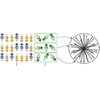 Emergent Quantum State Designs from Individual Many-Body Wave Functions ...