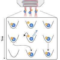 Site-Selective Preparation and Multistate Readout of Molecules in ...