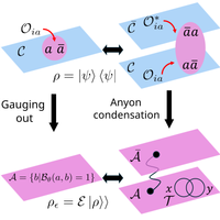 Noisy Approach to Intrinsically Mixed-State Topological Order | PRX Quantum