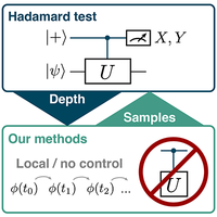 Hardware-Efficient Quantum Phase Estimation via Local Control | PRX Quantum
