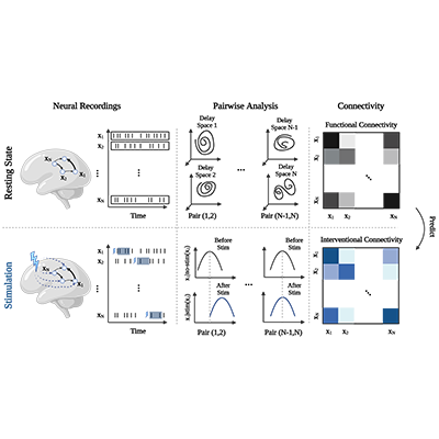Physical Review Research