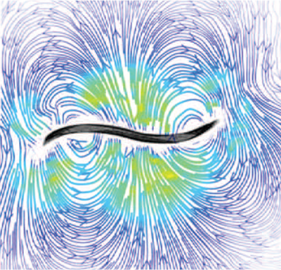 Physical Review Fluids - 2022 Invited Papers Collection