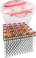 Physical Review Letters - Experimental Quantum Error Correction below ...