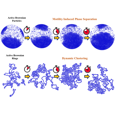 Physical Review Research