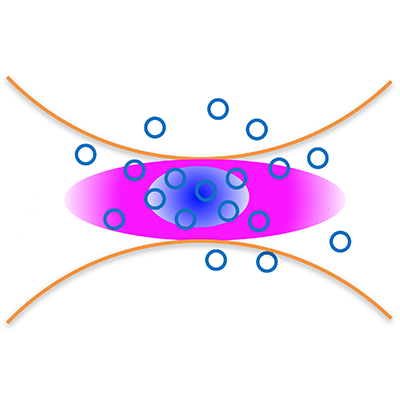 Physical Review A - Signatures of the orbital angular momentum of an ...