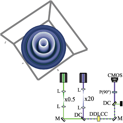 Physical Review Research