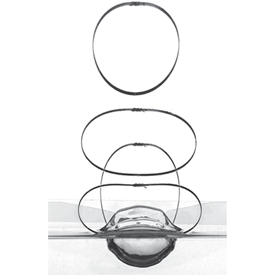 Physical Review Fluids - Focused Collections