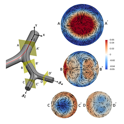 Physical Review Fluids