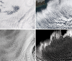 Physical Review Letters - Convective Steady State in Shallow Cloud Fields