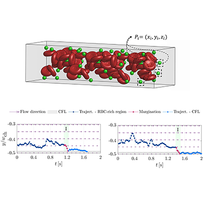 Physical Review Fluids