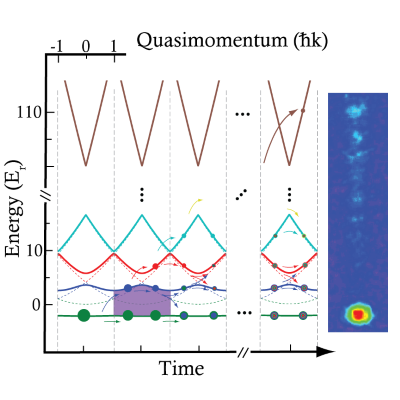 Physical Review Research