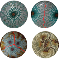 Physical Review Letters - Cover Images for Volume 133