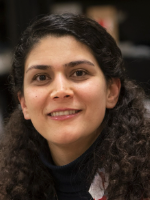 Physical Review Fluids - Editors of PRFluids