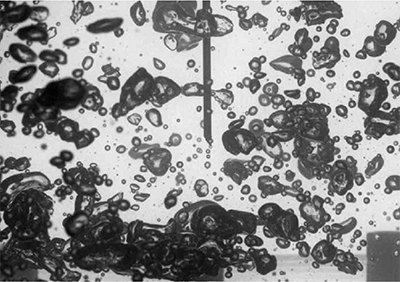 Physical Review Fluids - Frenkiel Award for Fluid Mechanics